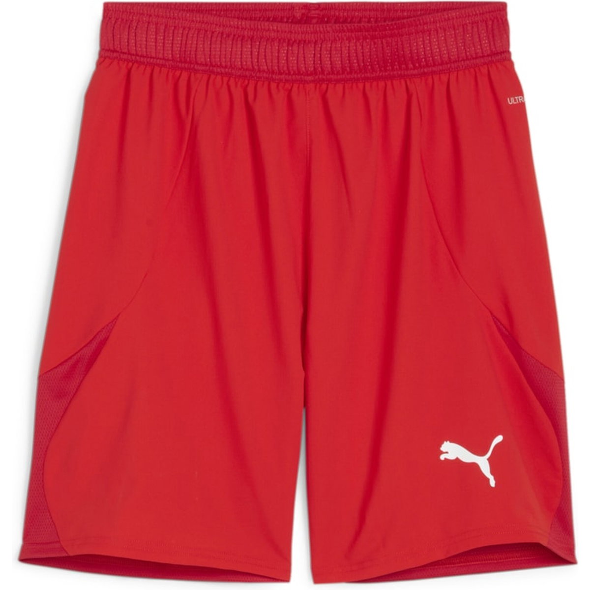 Puma Teamfinal Short voor Heren | Rood | Teamswear